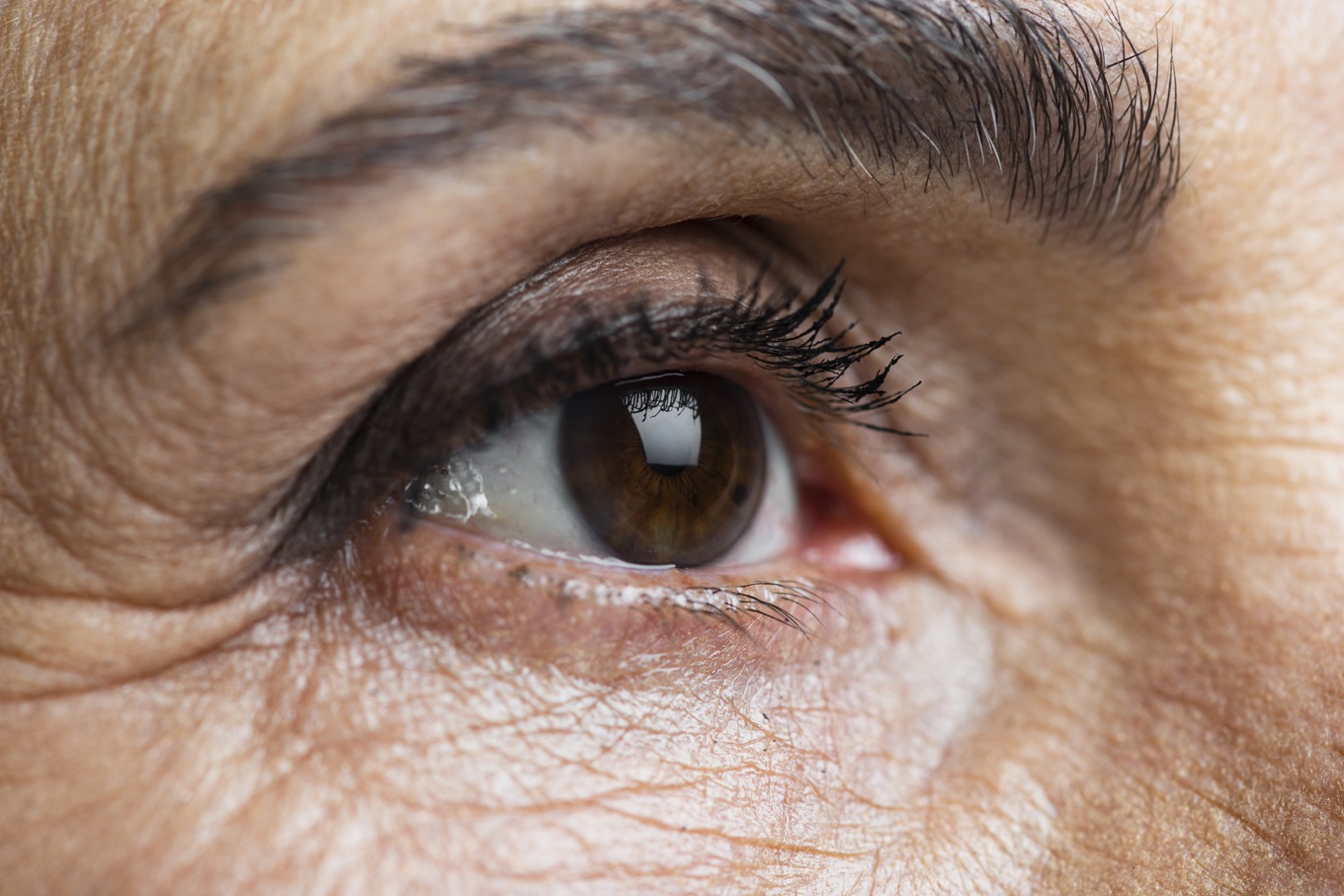 The Different Stages of Diabetic Retinopathy | Asian Eye Institute